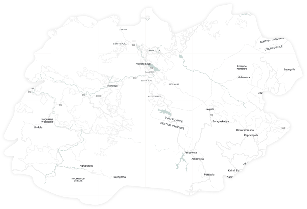Hotels in Nuwara Eliya | Oak Ray Misty Hills Official Site